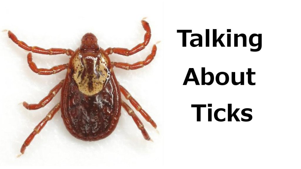 Dealing with Ticks - Barefoot Bushcraft & Archery