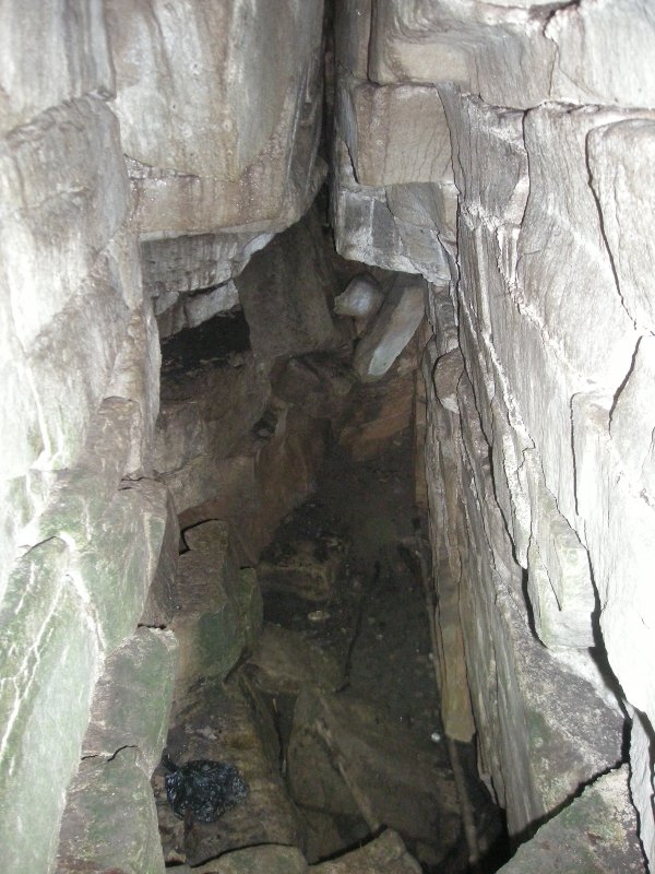 Mount Nemo Conservation Area - Barefoot Bushcraft & Archery